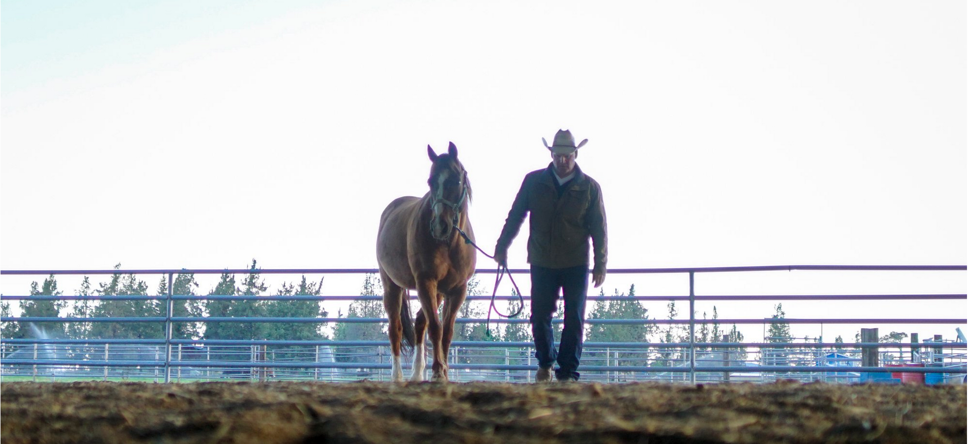 About EOR – EOR Strips