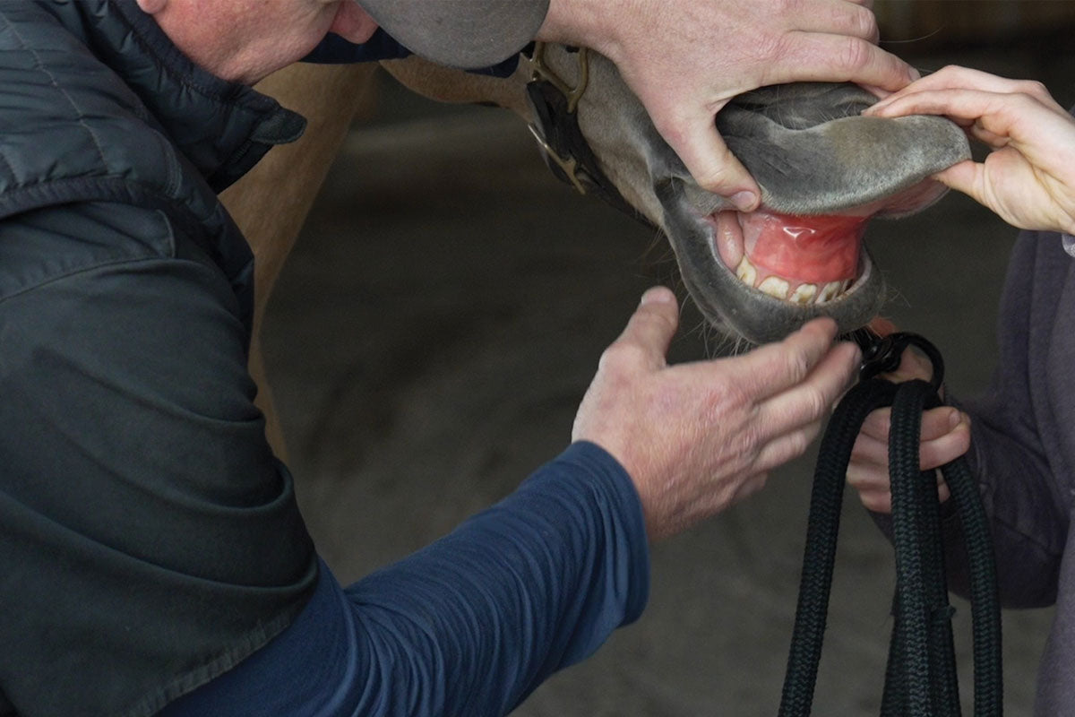 EOR strips application – EOR Strips